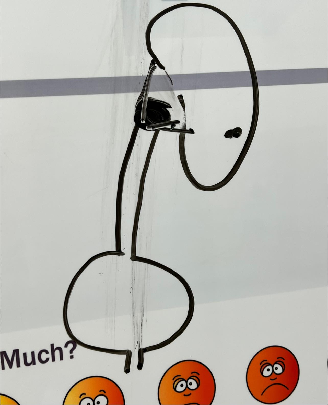 Teri Wellbrock – Recovery from Kidney Stone Lithotripsy and Ureteral ...